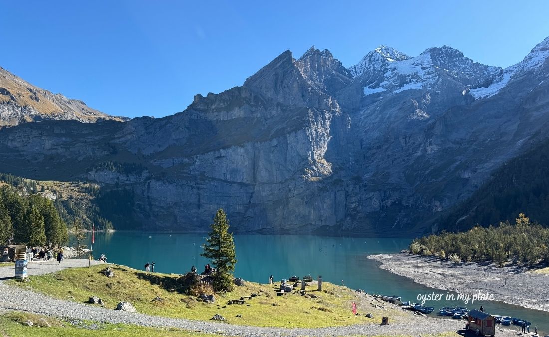 외시넨 호수(Oeschinensee) 하이킹 & 토보겐 가이드 - oyster in my plate